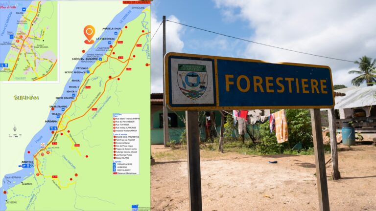 La forestiere – APATOU